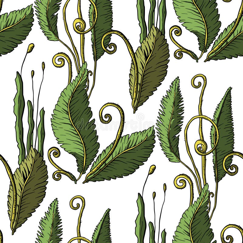 Prehistoric vector plants. stock vector. Illustration of foliage ...