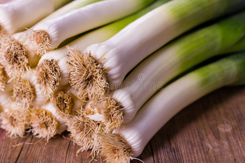 Bloem van een prei stock afbeelding. Image of kruiden - 97522067
