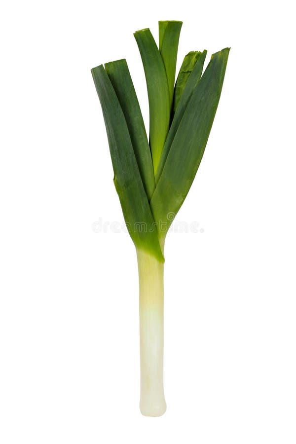 Prei op Wit stock afbeelding. Image of plantaardig, groen - 34266197