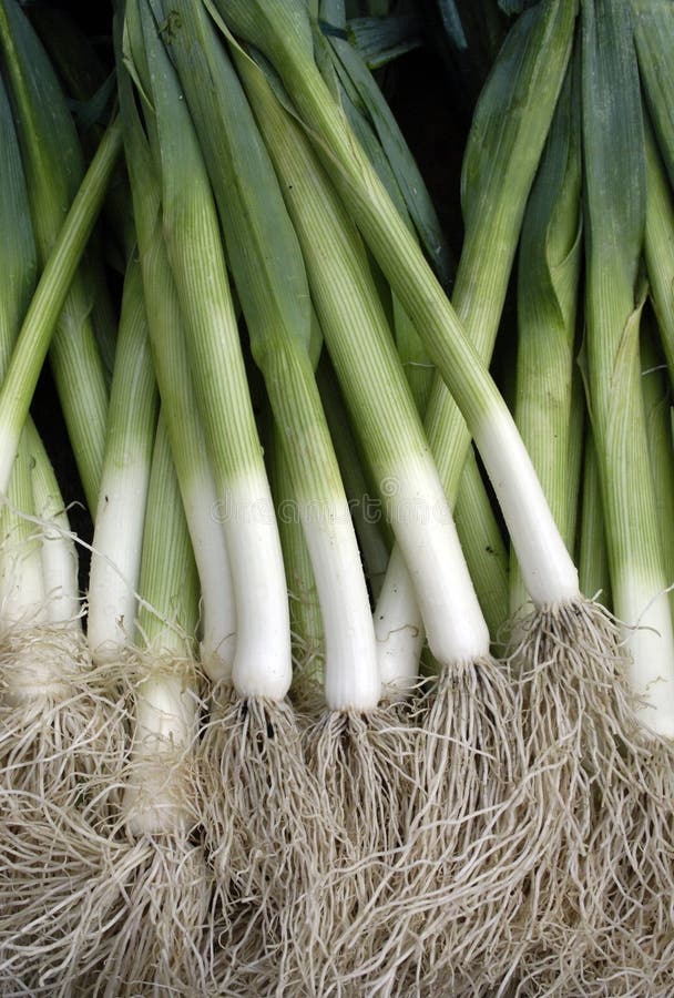Preien bij de markt stock afbeelding. Image of prei, vers - 6476191