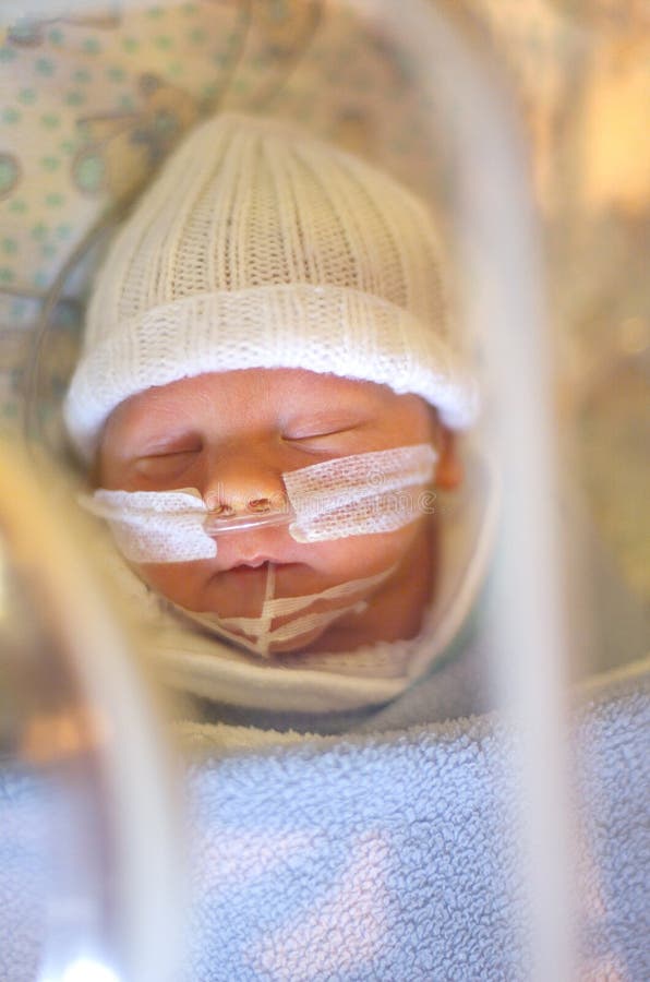Premature Baby Boy stock photo. Image of health, nurse - 482070