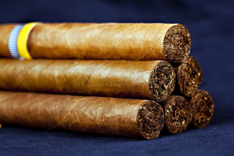 Premier cigare cubain photo stock. Image du humain, produit - 16910240