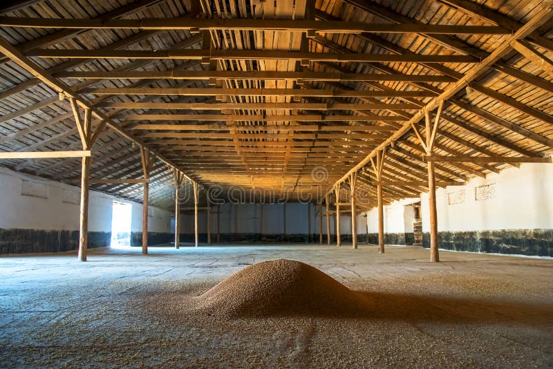 Grain storehouse stock photo. Image of tree, field, food - 19381014