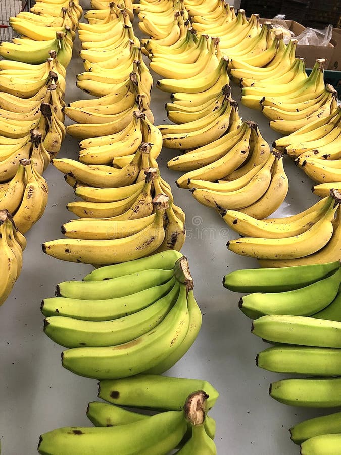 Fresh and sweet bananas stock image. Image of fruit - 160146605