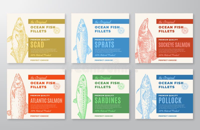 Premium Quality Fish Fillets Labels Collection. Abstract Vector Fish ...