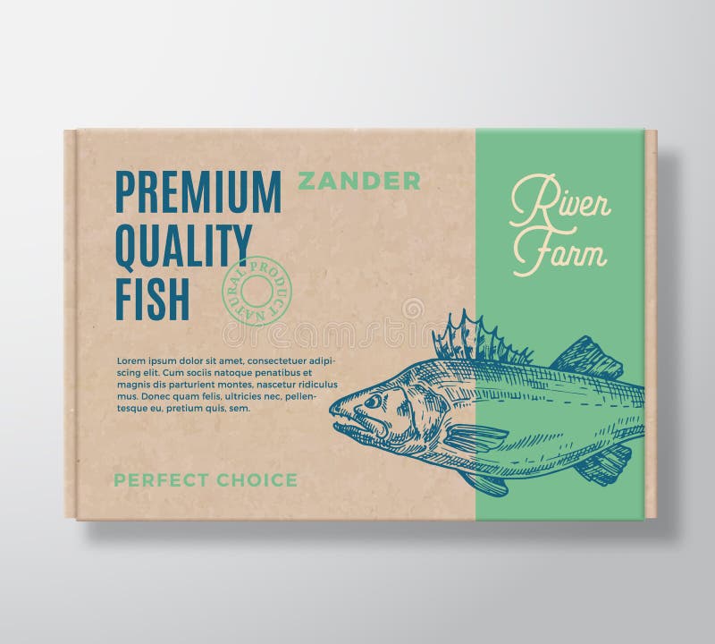 Fish Pikeperch Vector. Hand Drawing Isolated Stock Vector ...