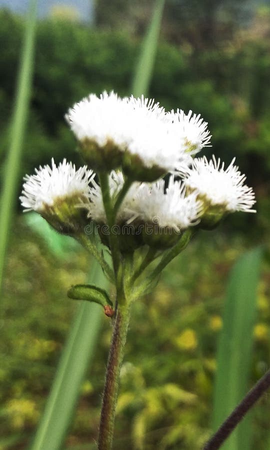 Premium Wallpapers Collection Artistic Stock Photos - Free & Royalty ...