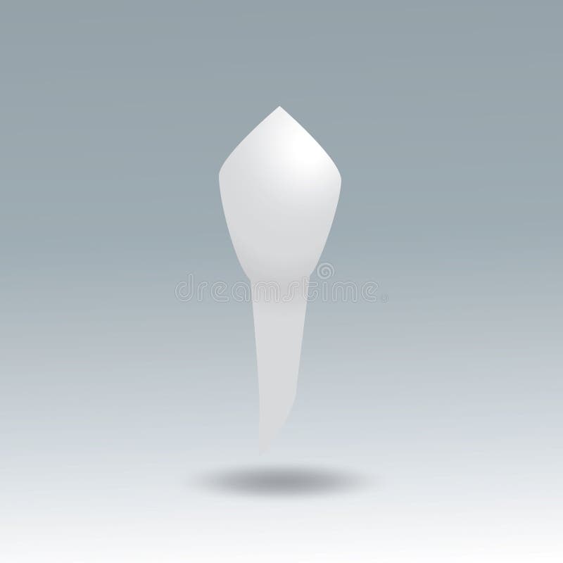 Premolar Tooth. Vector Illustration Decorative Design Stock Vector ...