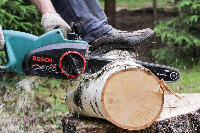 Cutting a Tree Trunk on a Stump Editorial Photo - Image of firewood ...