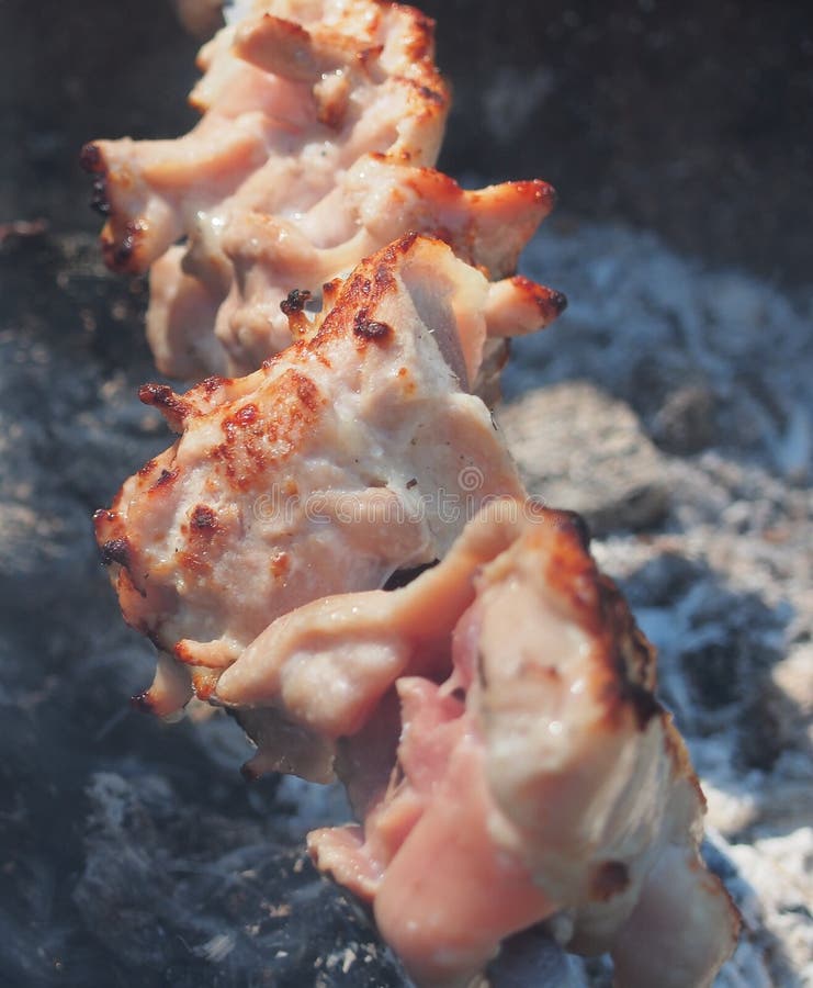 Preparation of Chicken Meat on the Coals. Grill Stock Photo - Image of ...
