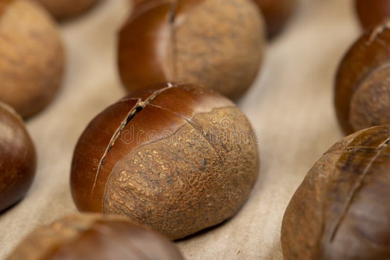 Preparation by Cutting the Shells of Edible Chestnut Nuts for Baking ...