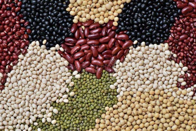Preparation Different Legumes Organic Stock Photo - Image of legumes ...
