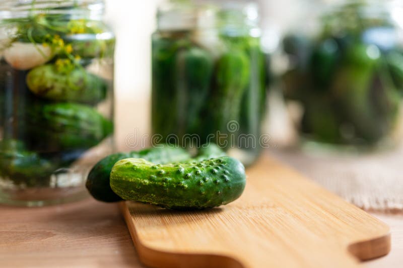 Preparation for Fermenting Fresh Cucumbers by a Process of Pickling ...