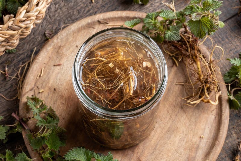 Preparation of Herbal Tincture from Fresh Nettle Root in Spring Stock ...