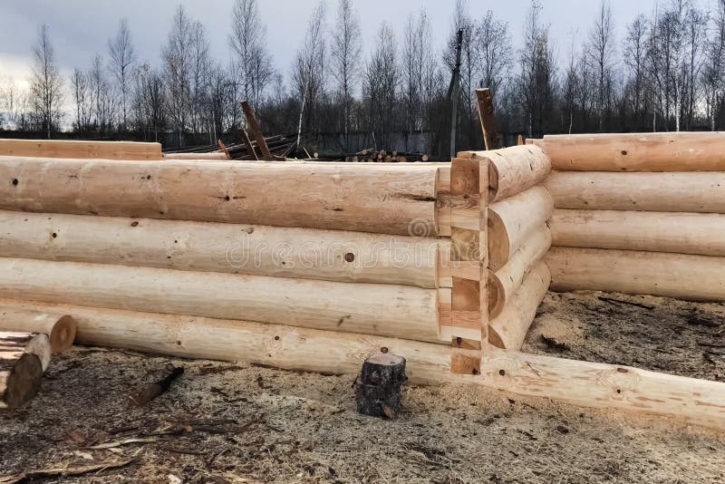 Preparation of Logs for the Assembly of Structure. Materials for Stock ...