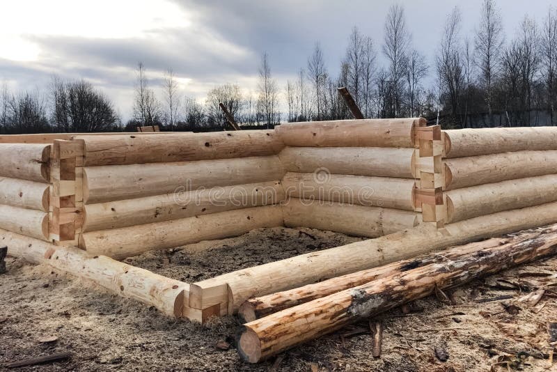 Preparation of Logs for the Assembly of Structure. Materials for Stock ...