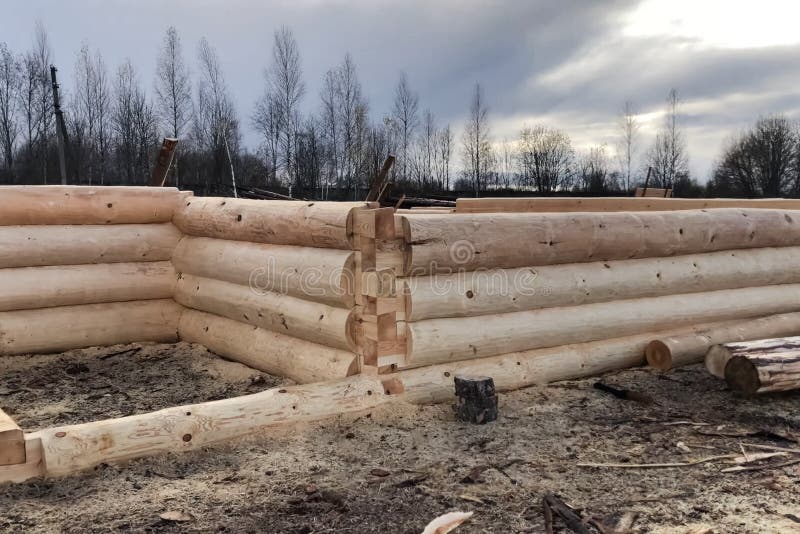 Preparation of Logs for the Assembly of Structure. Materials for Stock ...