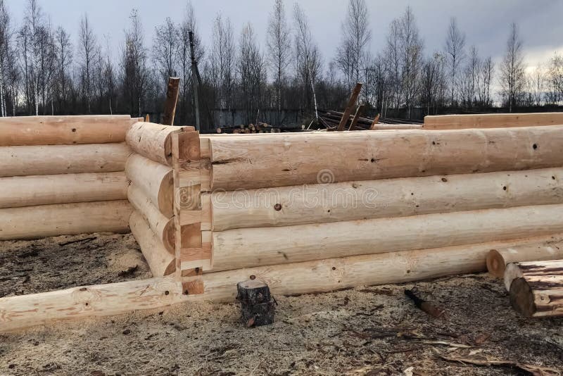 Preparation of Logs for the Assembly of Structure. Materials for Stock ...