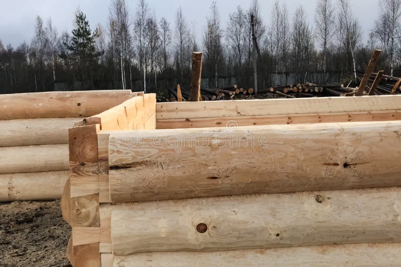 Preparation of Logs for the Assembly of Structure. Materials for Stock ...