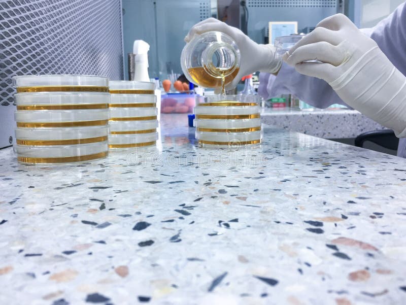 Preparation of Medium for Determination Bacteria. Stock Image - Image ...