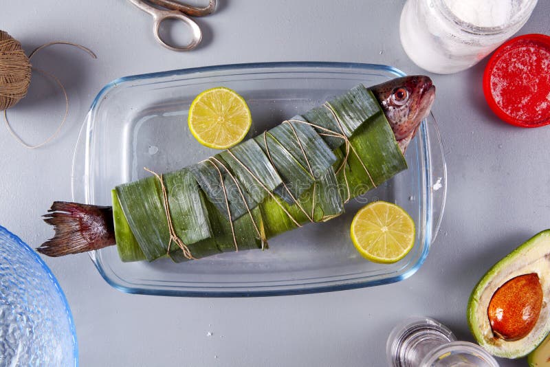 Preparation of Raw Fish with Leek Stock Image - Image of diet, fish ...