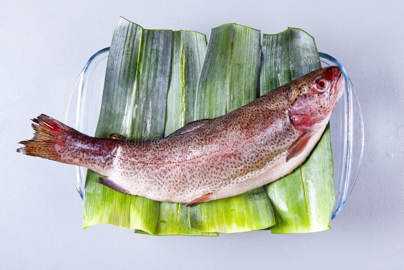Preparation of Raw Fish with Leek Stock Image - Image of fishing ...