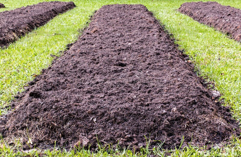 Preparation of Soil stock photo. Image of ready, groundcover - 46731426