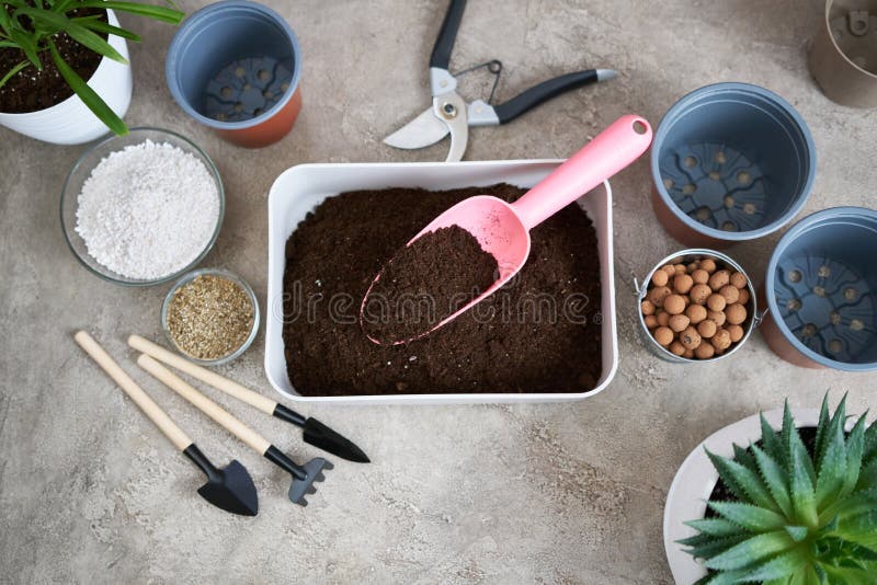 Preparation of Soil Substrate for Planting Houseplant into a Pot Stock ...