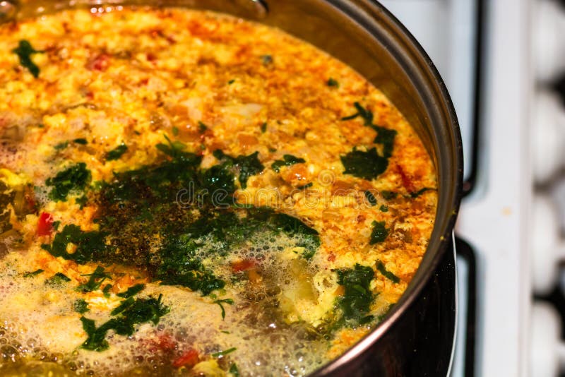 Preparation of Soup with Chicken and Vegetables. Close Up of Boiling ...