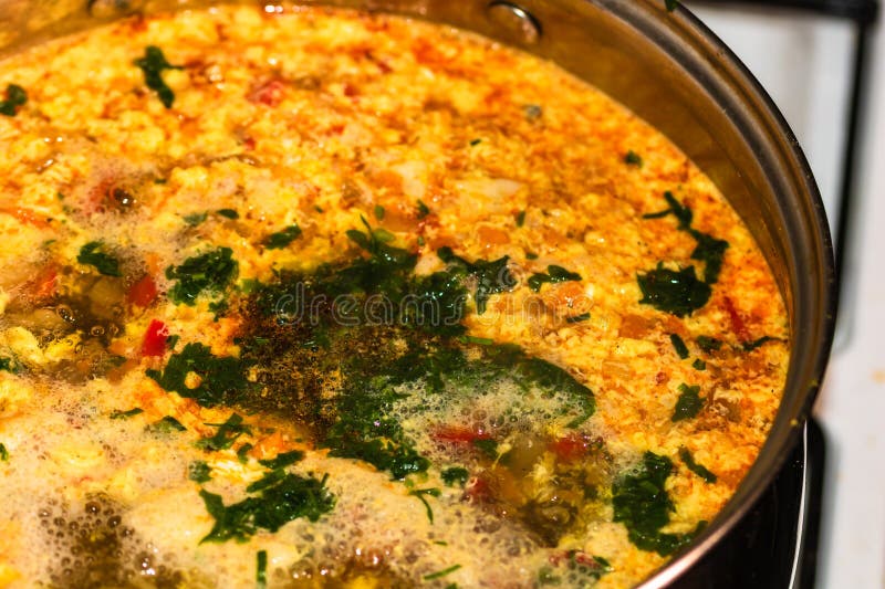 Preparation of Soup with Chicken and Vegetables. Close Up of Boiling ...