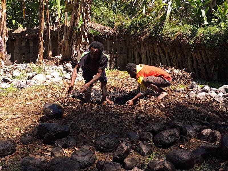Preparation for the Stone Burning Event in Papua Editorial Photography ...
