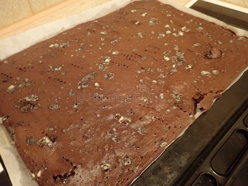 Preparation of a Sweet Homemade Chocolate Cocos Cake Stock Image ...