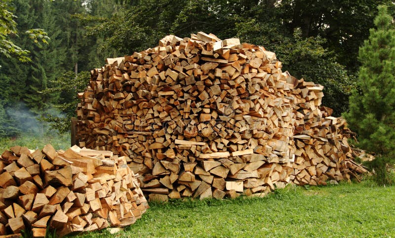 Preparation for Winter with Round Pile Stacked Firewood Stock Photo ...
