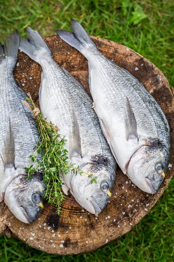 Preparazione Dell'orata Intera Con Il Limone E Le Erbe Fotografia Stock ...