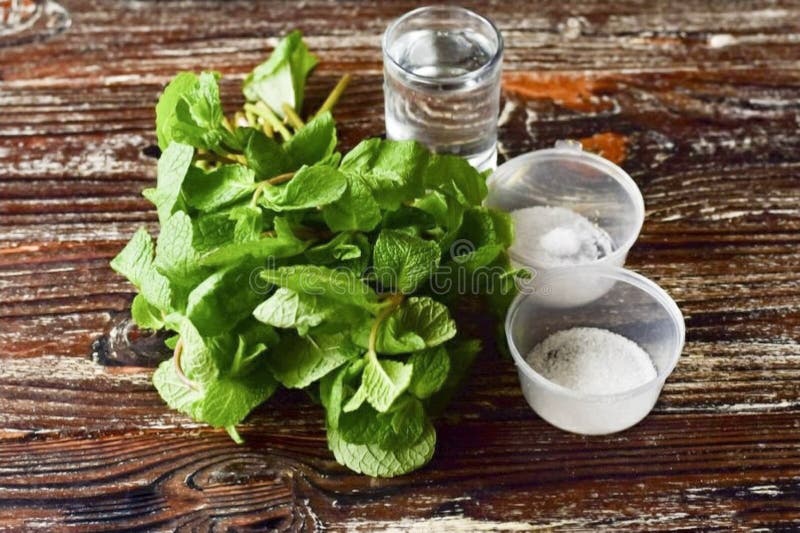 Mint Sauce for Meat stock image. Image of board, dietary - 215324191