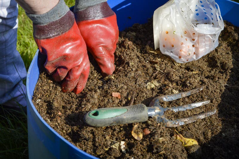 Prepare Soil before Planting the Vegetable Stock Image - Image of ...