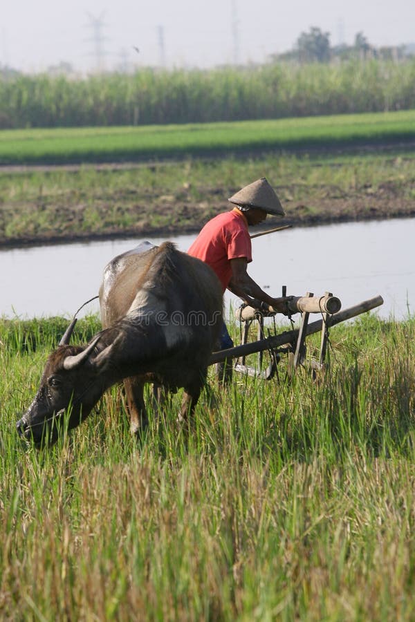 Prepare to plow editorial photography. Image of traditional - 41104432
