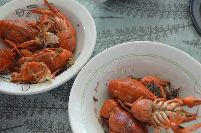 Prepared Boiled Crayfish in a Plate Stock Image - Image of claw, crab ...