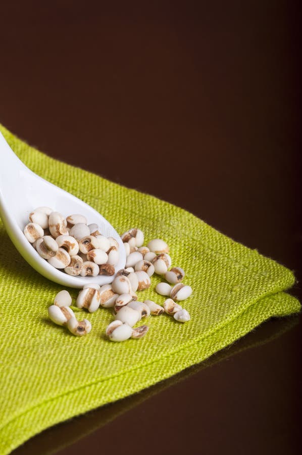 Prepared chinese barley stock image. Image of exotic - 37047265