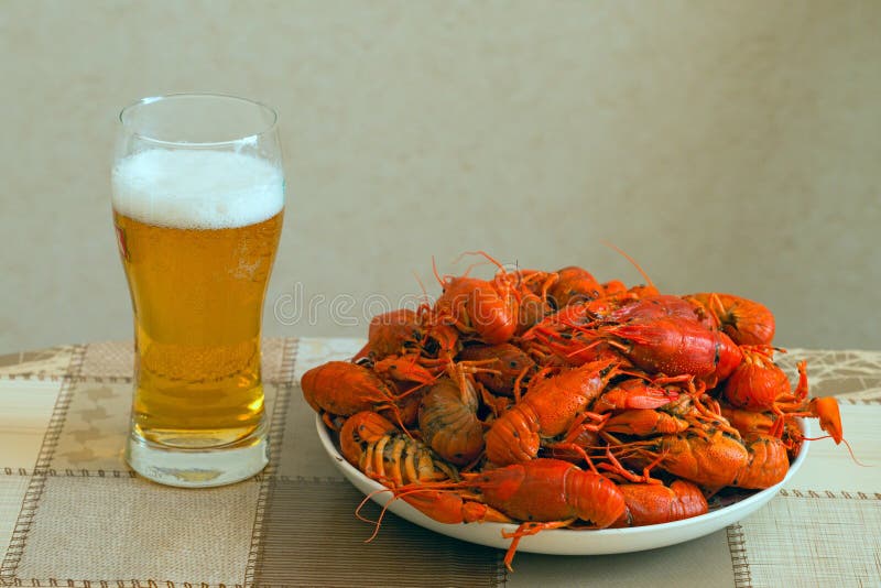 Prepared Crayfish with Beer Stock Image - Image of boil, alternatives ...
