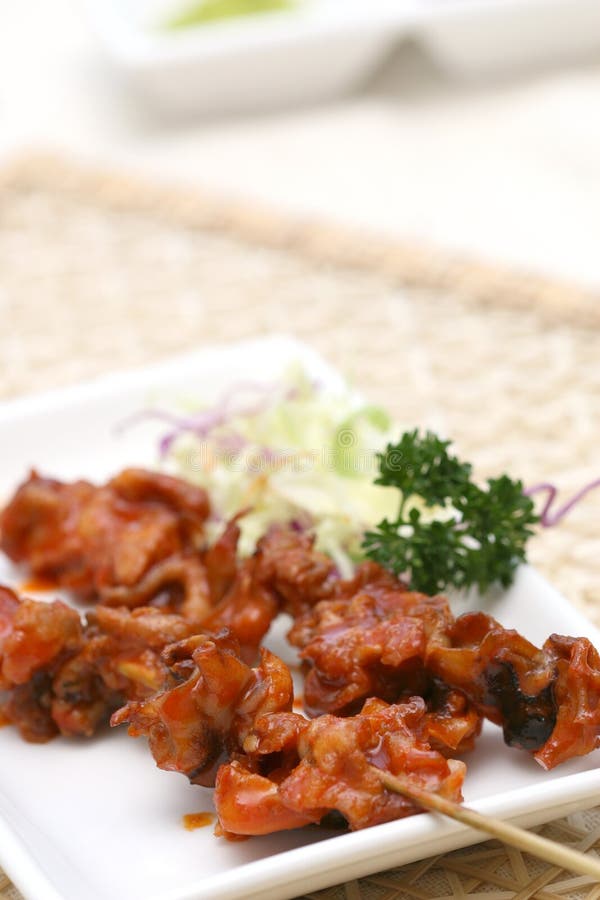 Prepared and Delicious Sleeve-fish Taken in Studio Stock Image - Image ...