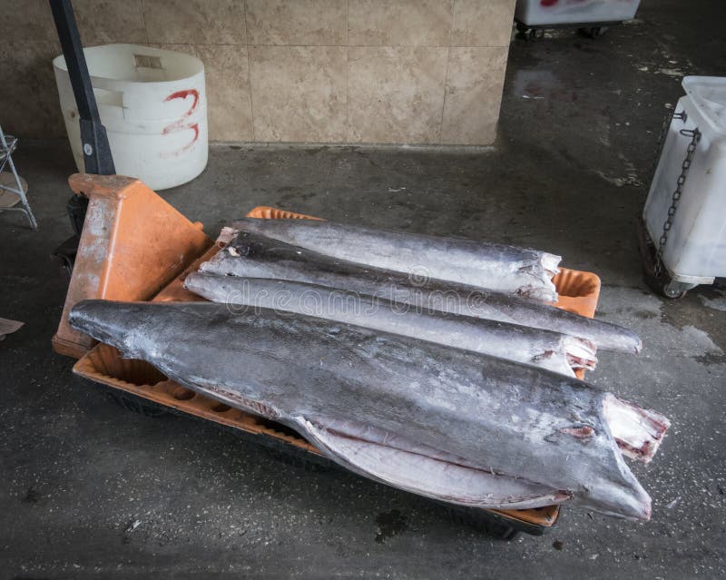 Prepared Fish in a Fish Market Stock Photo - Image of fishy, catch ...
