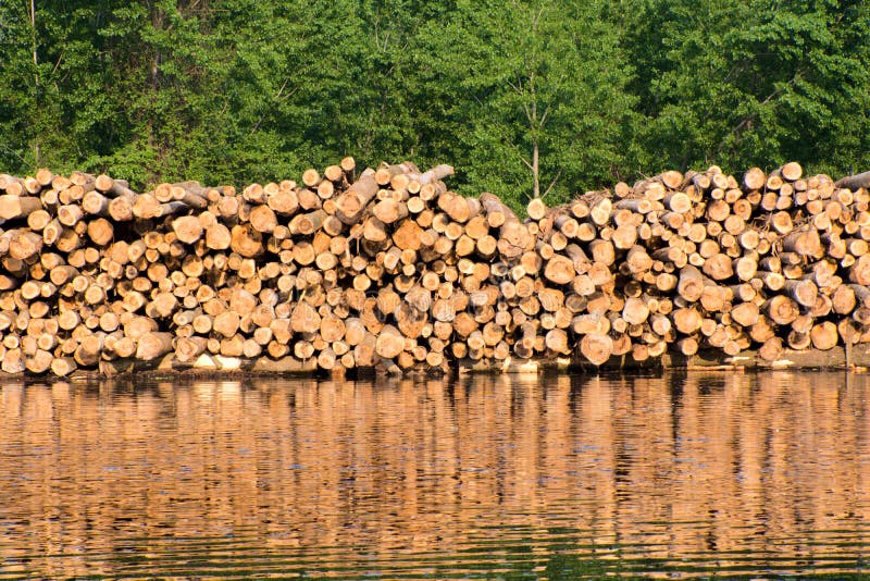 Prepared lumber stock photo. Image of outdoors, fuel - 40059588