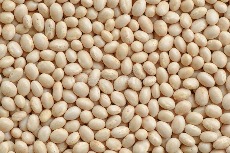Prepared Navy Bean for Cooking and Background Stock Photo - Image of ...