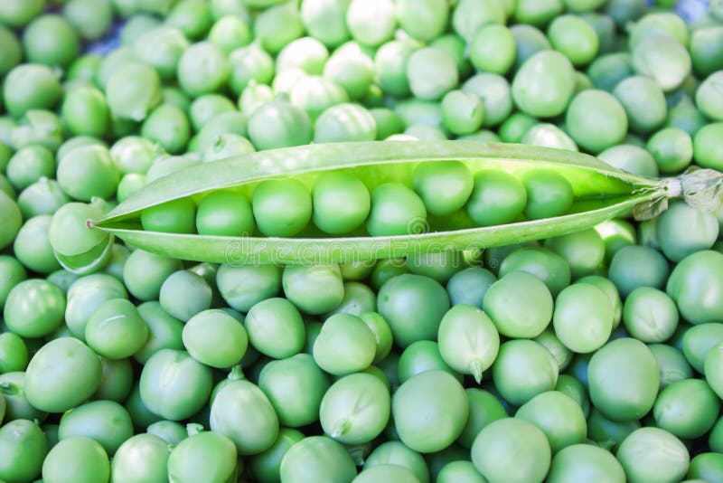 Prepared peas closeup stock photo. Image of tasty, cook - 40703632