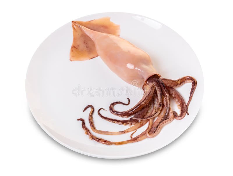Raw Squid On A Plate For Cooking Seafood Stock Image - Image of food ...