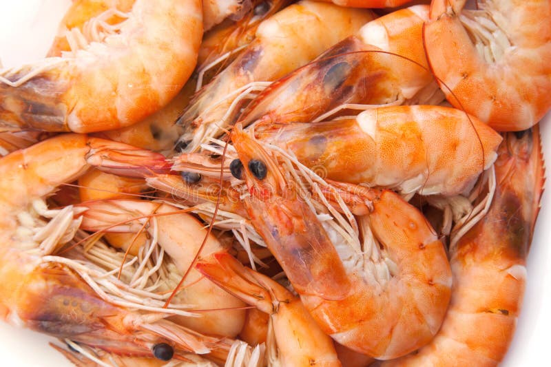 Prepared Scrimps on the Plate Stock Photo - Image of pile, fried: 32484478