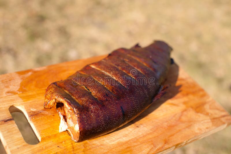 Prepared smoked fish stock image. Image of grilled, prepared - 55862459
