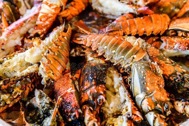 Prepared Spiny Lobsters on a Plate. Exotic Seafood Stock Photo - Image ...
