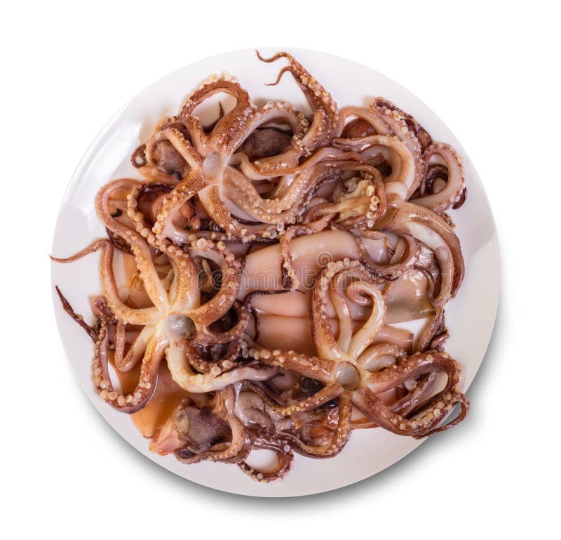 Prepared squid in a plate stock photo. Image of calamari - 124485872
